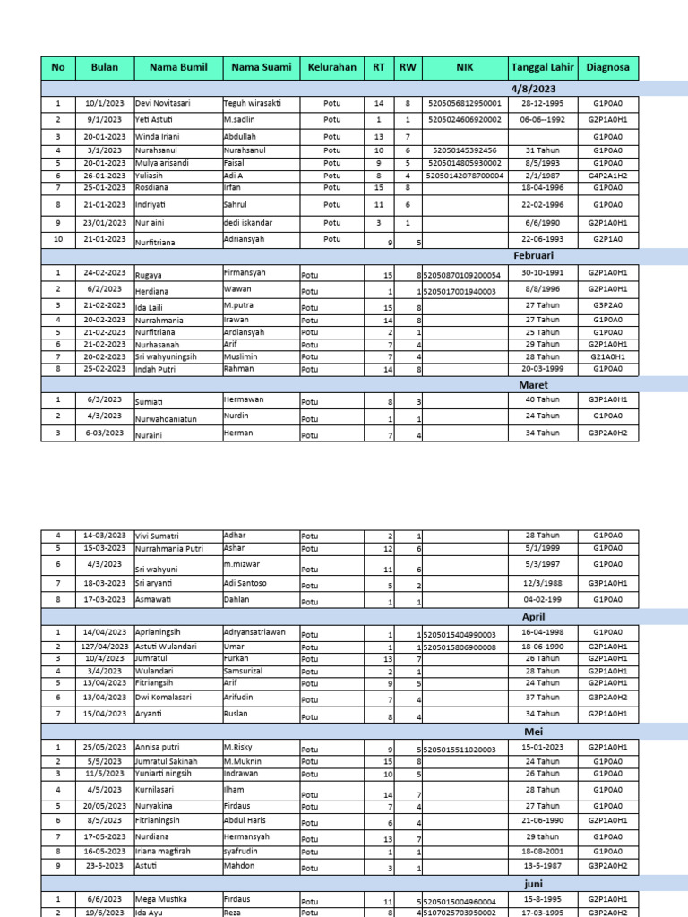 Data Bumil 2023 Fix | PDF