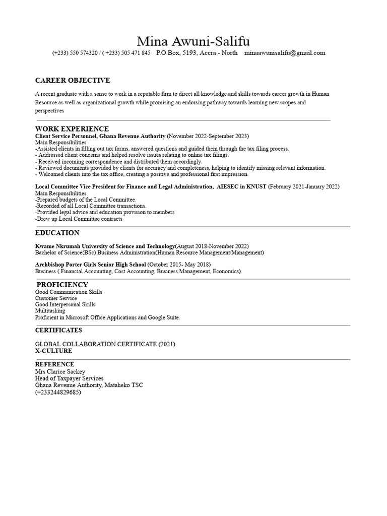 Mina Awuni-Salifu CV | PDF