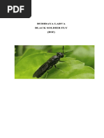 Classification Lalat BSF | PDF