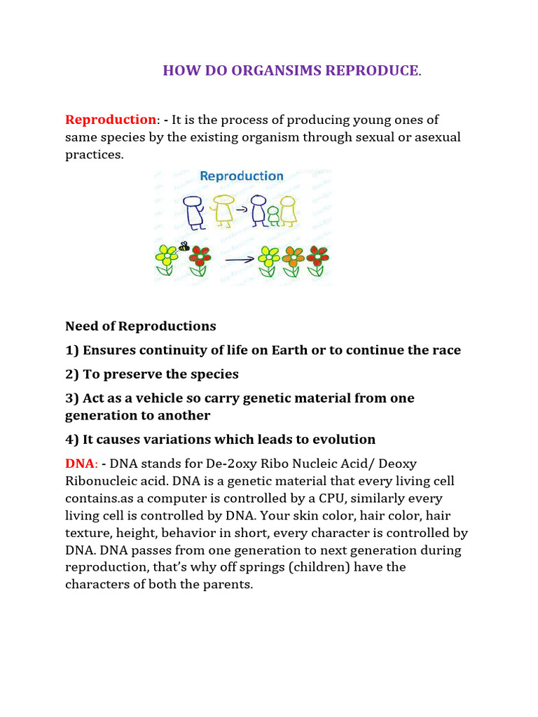 How Do Organsims Reproduce | PDF | Grafting | Sexual Reproduction