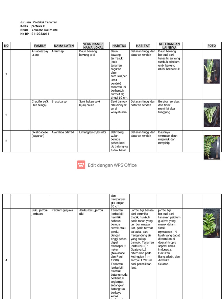 Yossiana Dalimunte - 2110253011 - Tugas Prak - Bio | PDF