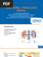 Anatomía y función del túbulo distal | PDF | Riñón | Biología Celular