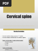 Alfredson Heel Drop Protocol | PDF | Soft Tissue | Limbs (Anatomy)