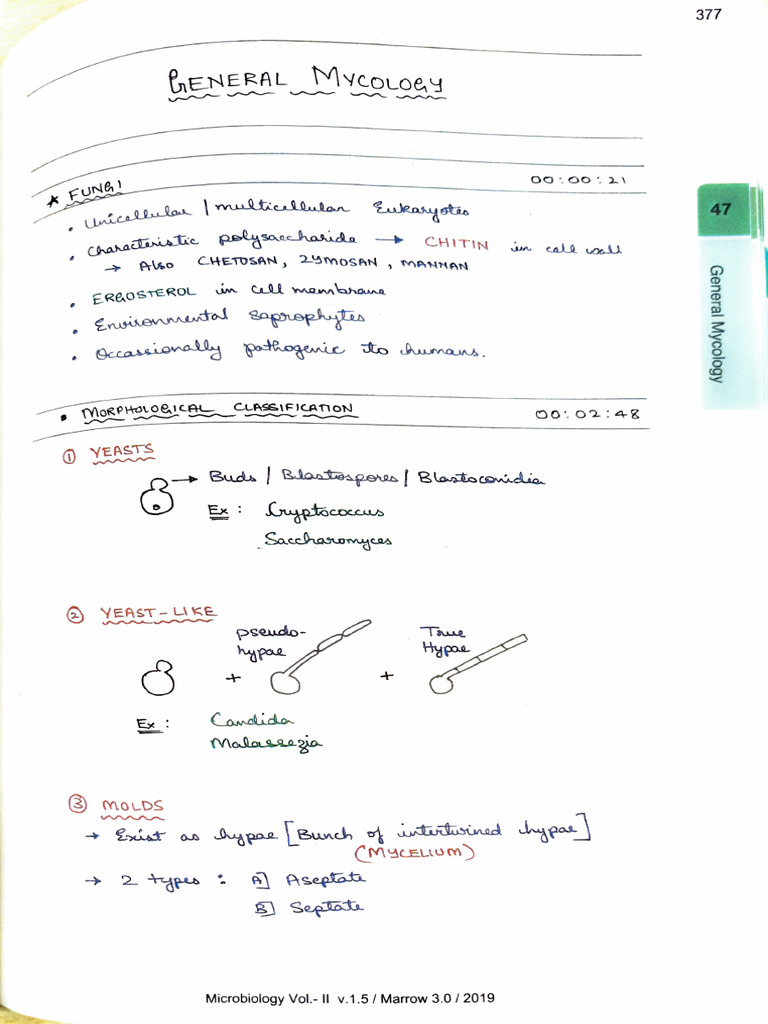 GNRL Myco Video | PDF