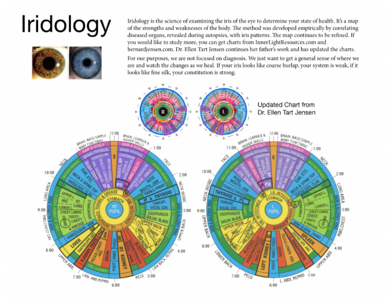 Iridology Chart | PDF