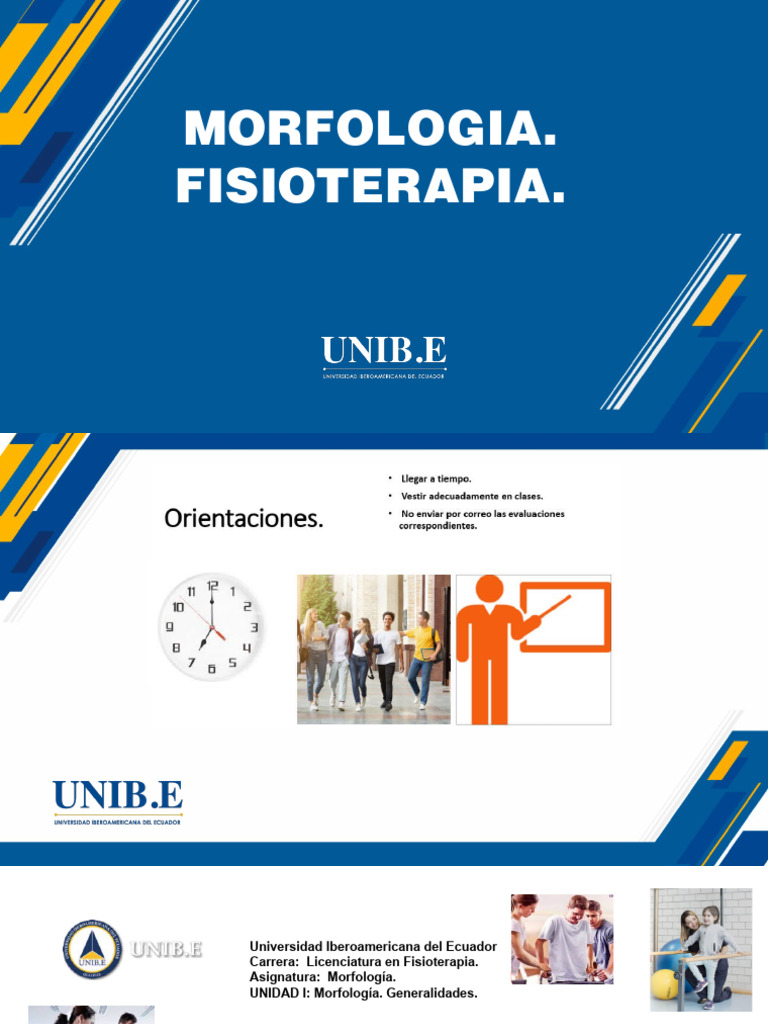 Tema Introducción A La Morfología.. 1 | PDF | Importar | Histología