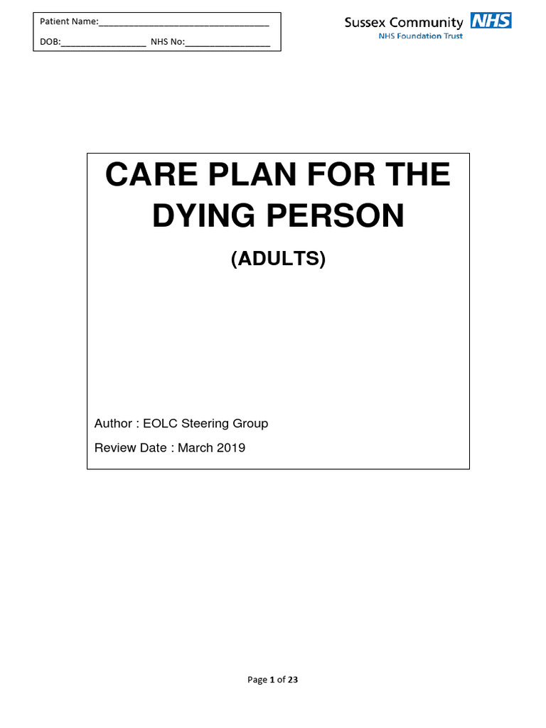 Care Plan for Dying Adults | PDF | End Of Life Care | Palliative Care