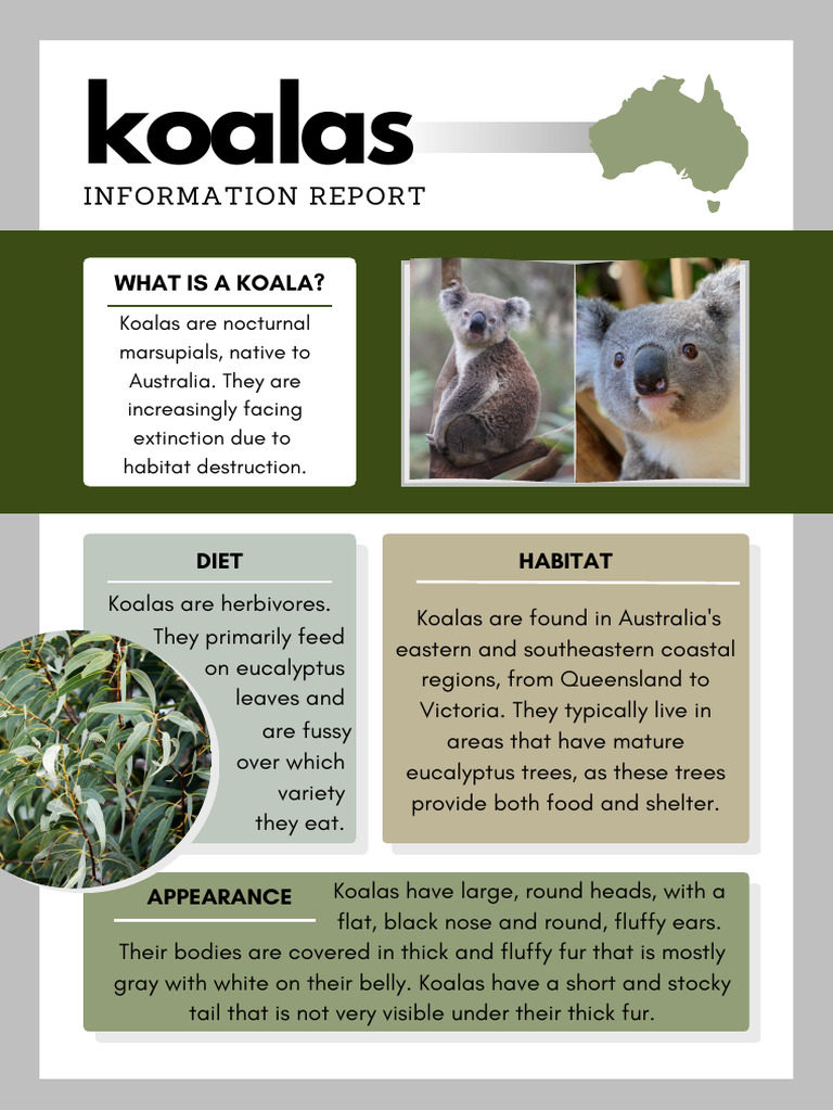 Koala Writing Poster | PDF