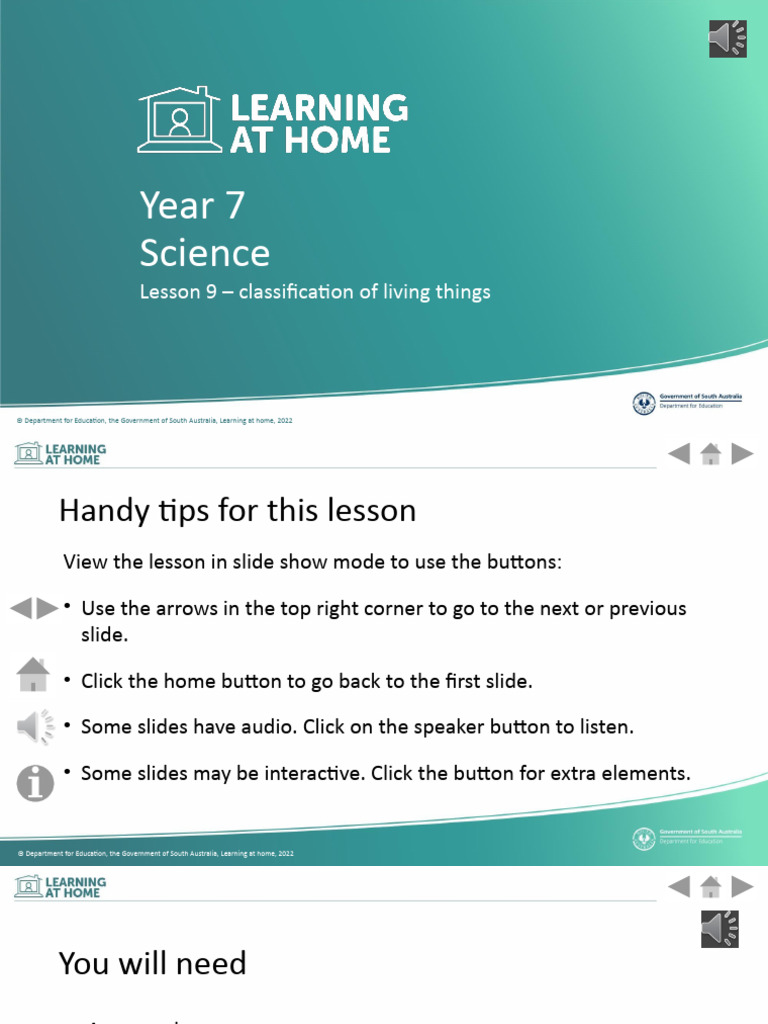 Yr7 Science Lesson9 | PDF | Invertebrate | Skeleton