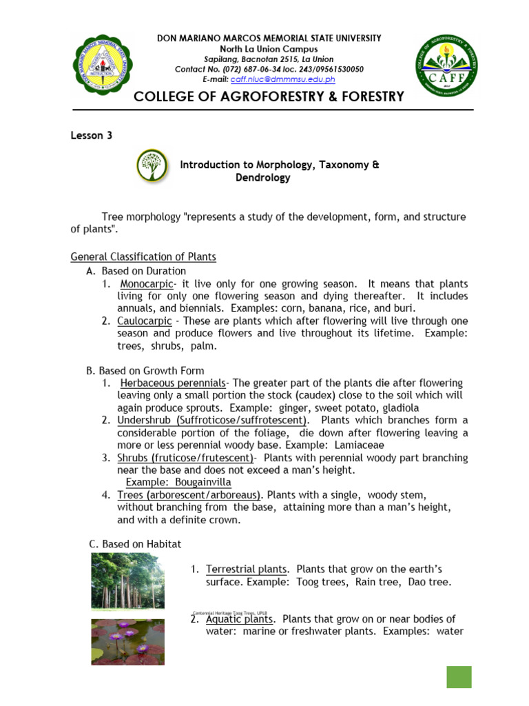 Introduction To Forestry - Module 3 | PDF | Leaf | Fruit