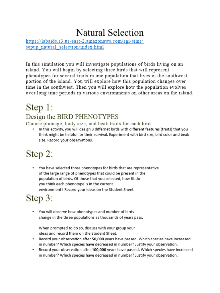Natural Selection Simulation Activity | PDF | Natural Selection | Species