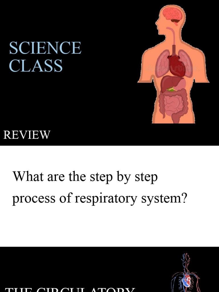 Grade 9 Circulatory 1 | PDF | Heart | Artery