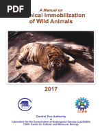 Goat Skeletal Anatomy Overview | PDF | Vertebra | Vertebral Column