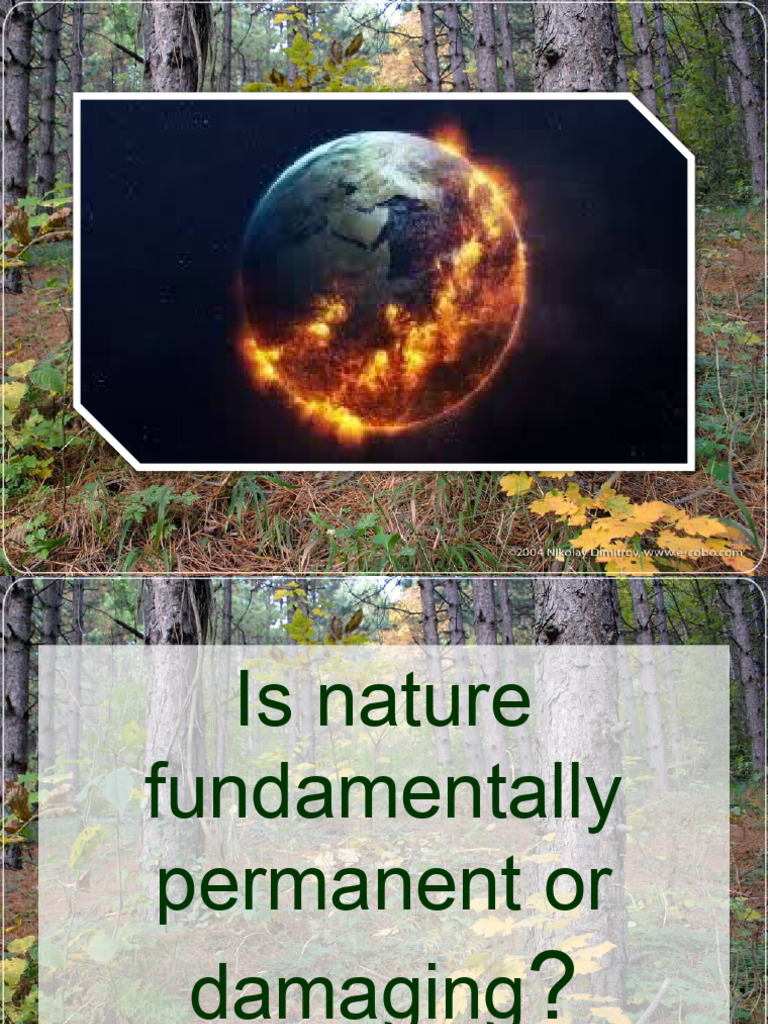 Ecological Succession Pdf Ecosystem Soil