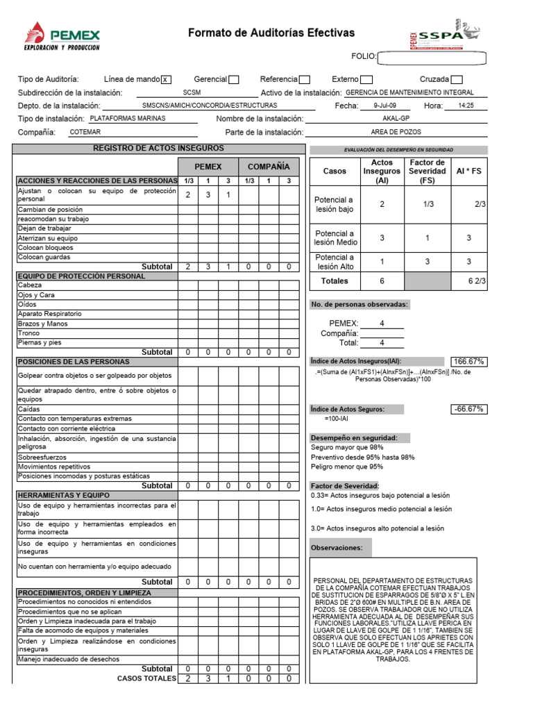 2.-Auditoria Efectiva Nuevo Formato (Ejemplo) | PDF
