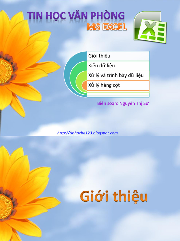 Excel 1 GioiThieu | PDF