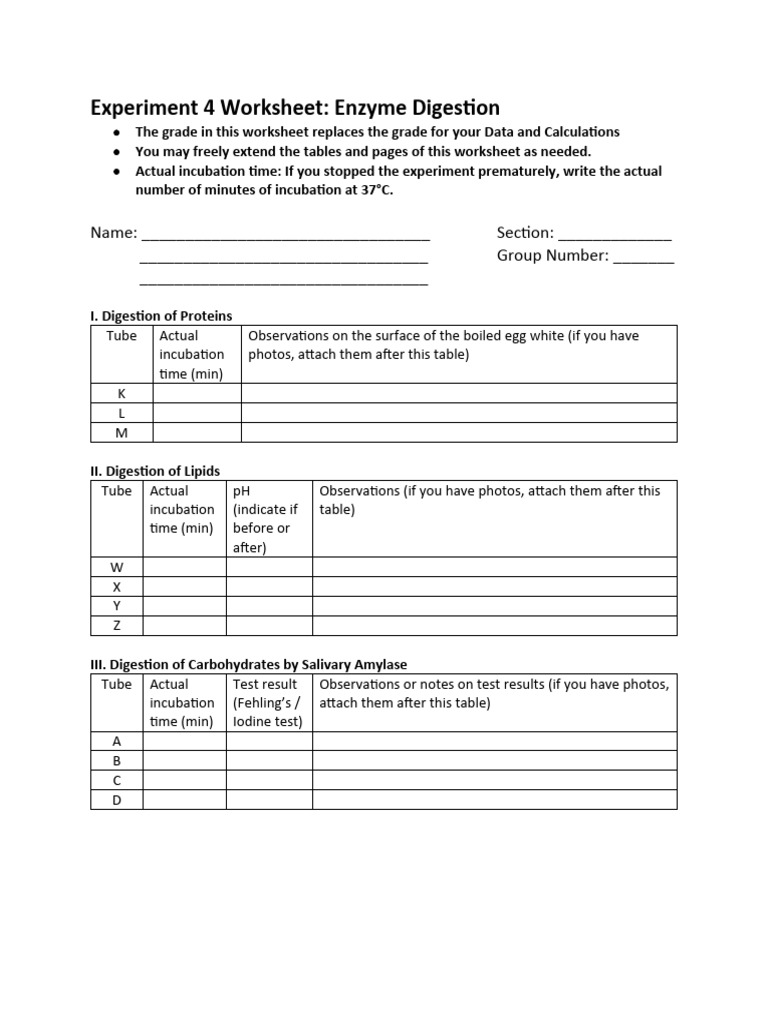 4 - Modified Enzyme Digestion Lab Worksheet | PDF