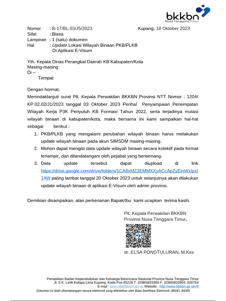 Surat Update E-Visum | PDF