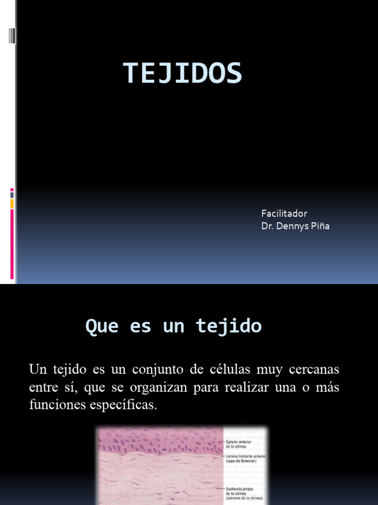 TEJIDO | PDF | Músculo esquelético | Sangre