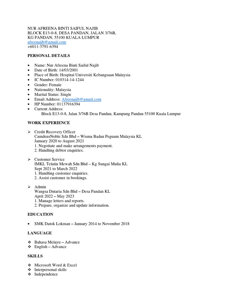 Nur Afreena Resume 2023 | PDF