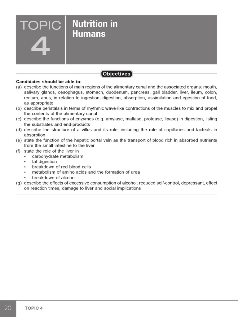 Nutrition in Human, Note | PDF | Small Intestine | Digestion