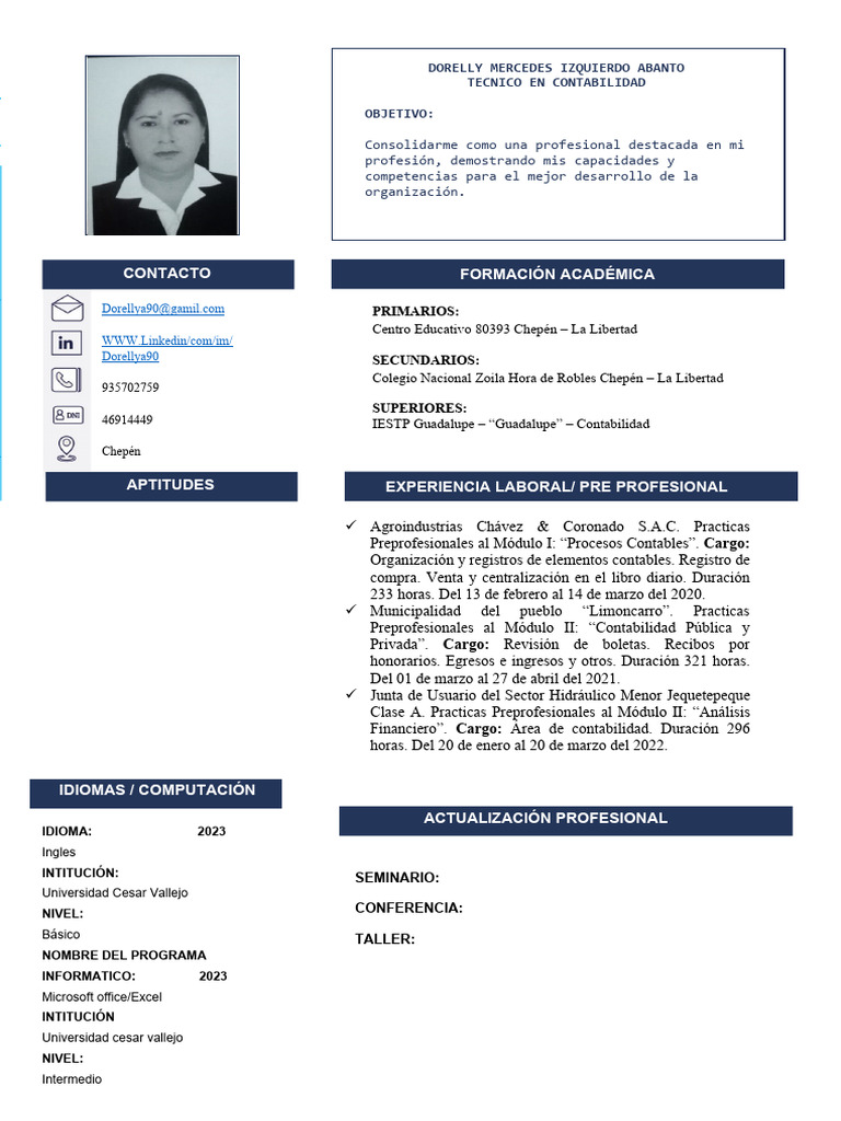 Formato CV | PDF | Contabilidad | Informática