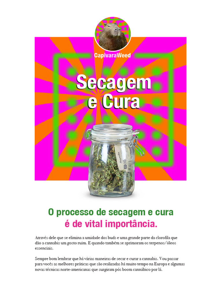 Secagem e Cura | PDF | Cannabis (droga) | Cannabis