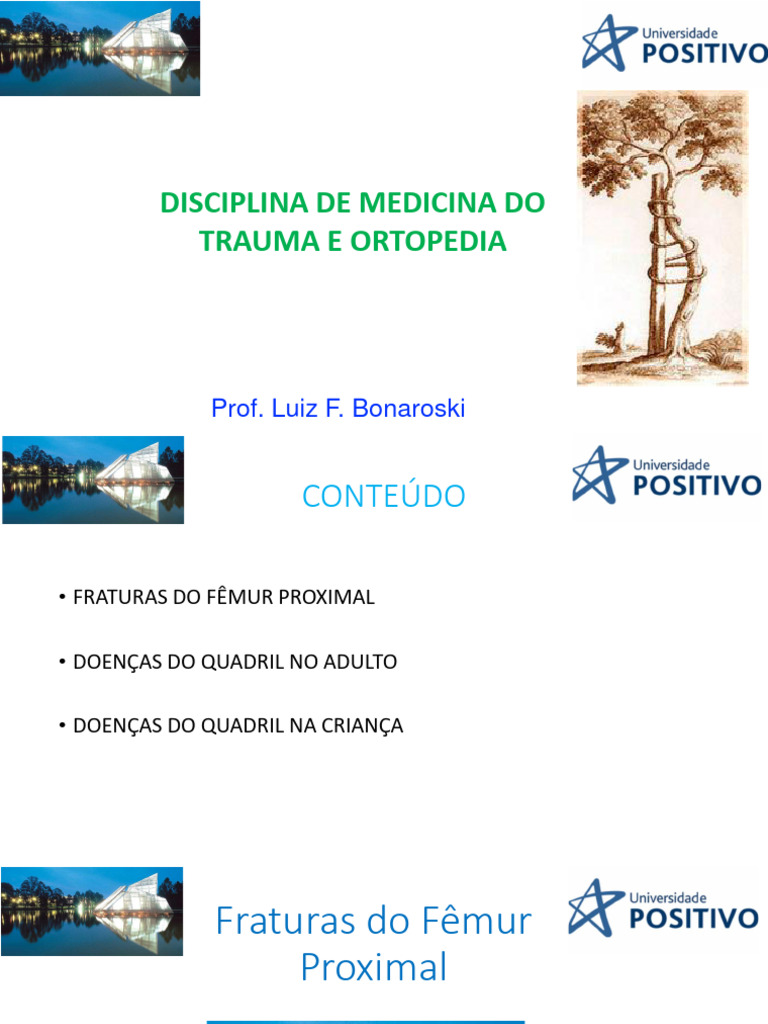 Frat Fêmur Proximal + Dças Quadril Ad e Ped | PDF | Osteoartrite | Remédio