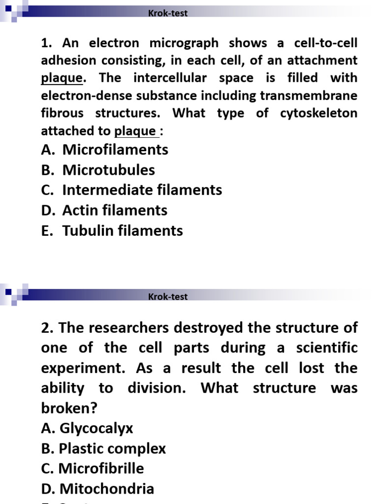 Lec 04 Cytosol Inclusions Translation | PDF | Translation (Biology ...