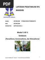 Pa Cerek Dan Nga Lelet | PDF | Seni & Disiplin Bahasa