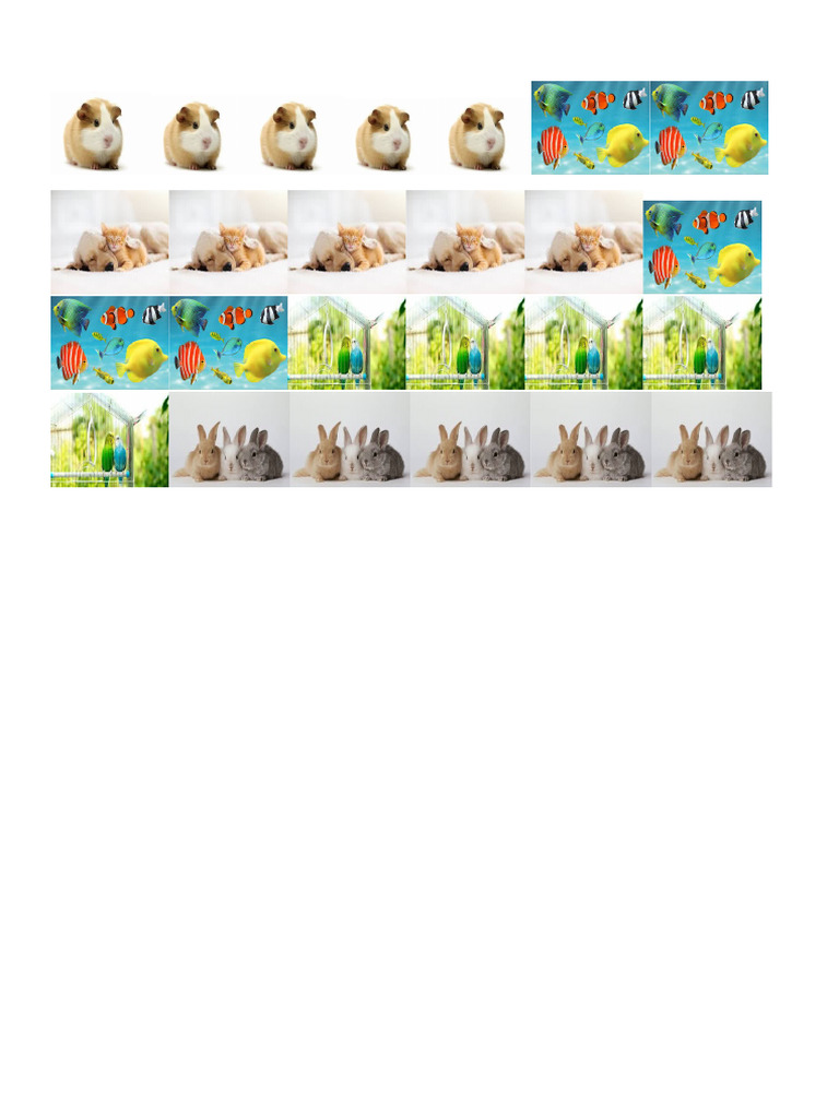 Atividade PG 20 Portugues 24-02 | PDF