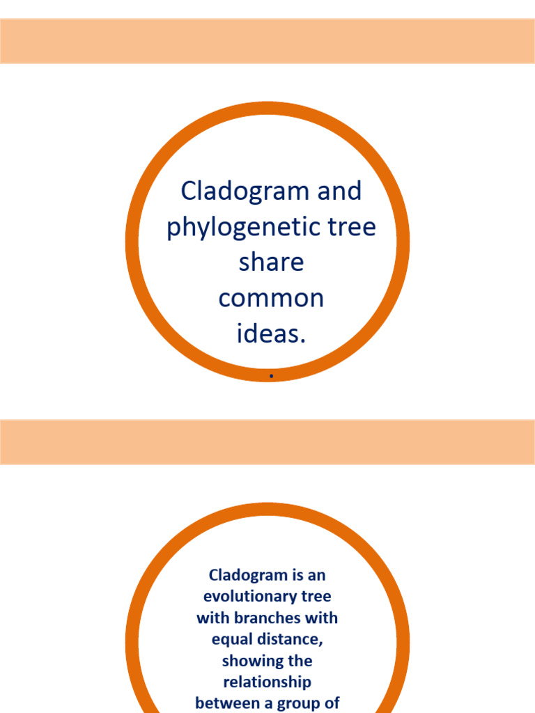 3 Cladogram Vs Phylogram 2 | PDF | Social Science