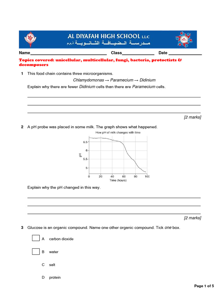 Extension Worksheet 8 | PDF | Yeast | Cell (Biology)