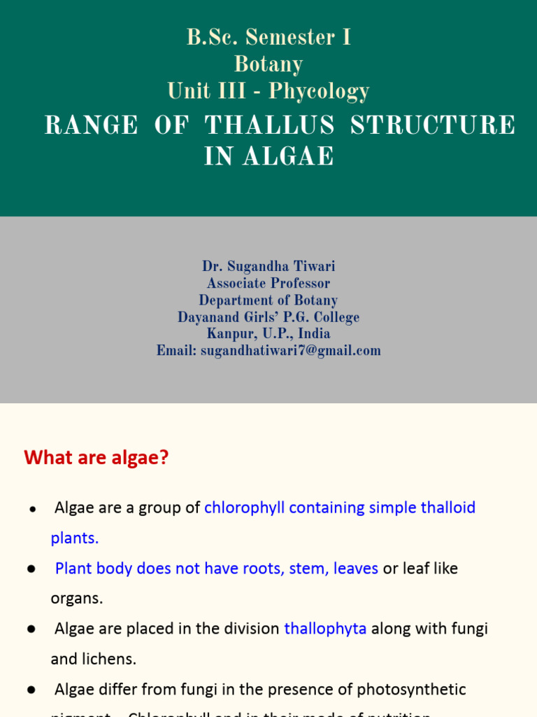 Range of Thallus Structure in Algae 3 | Download Free PDF | Algae ...