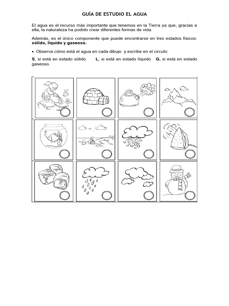 El Agua | PDF | Agua | Agua de mar