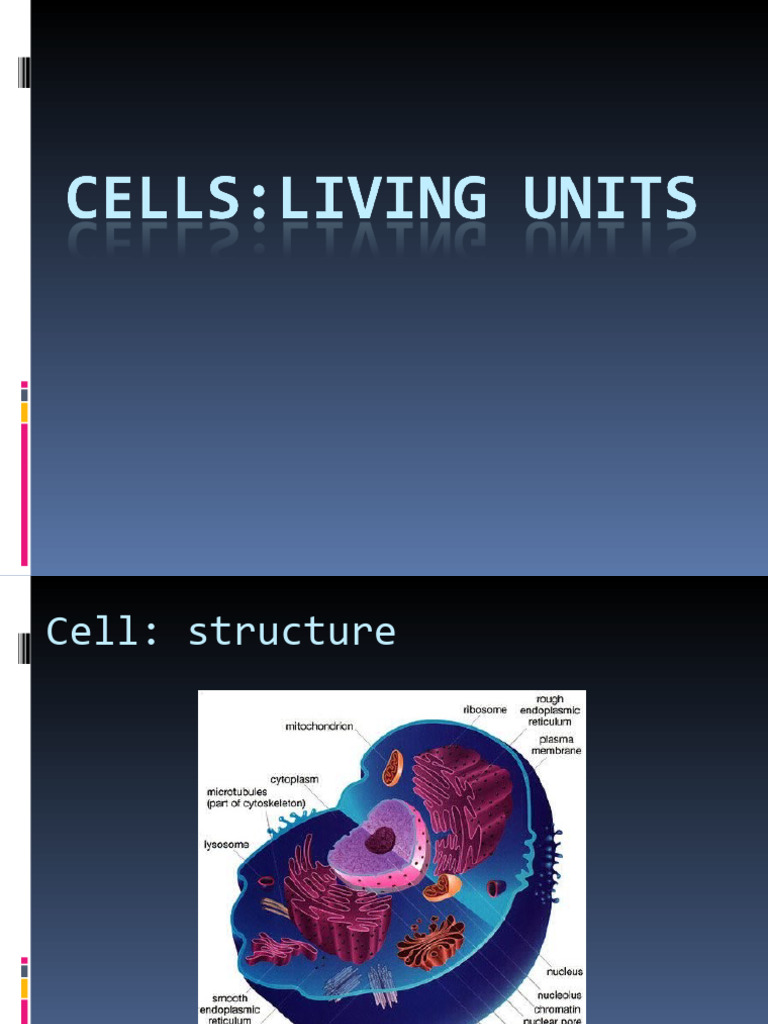 2 Cells | PDF | Cell Membrane | Ion Channel