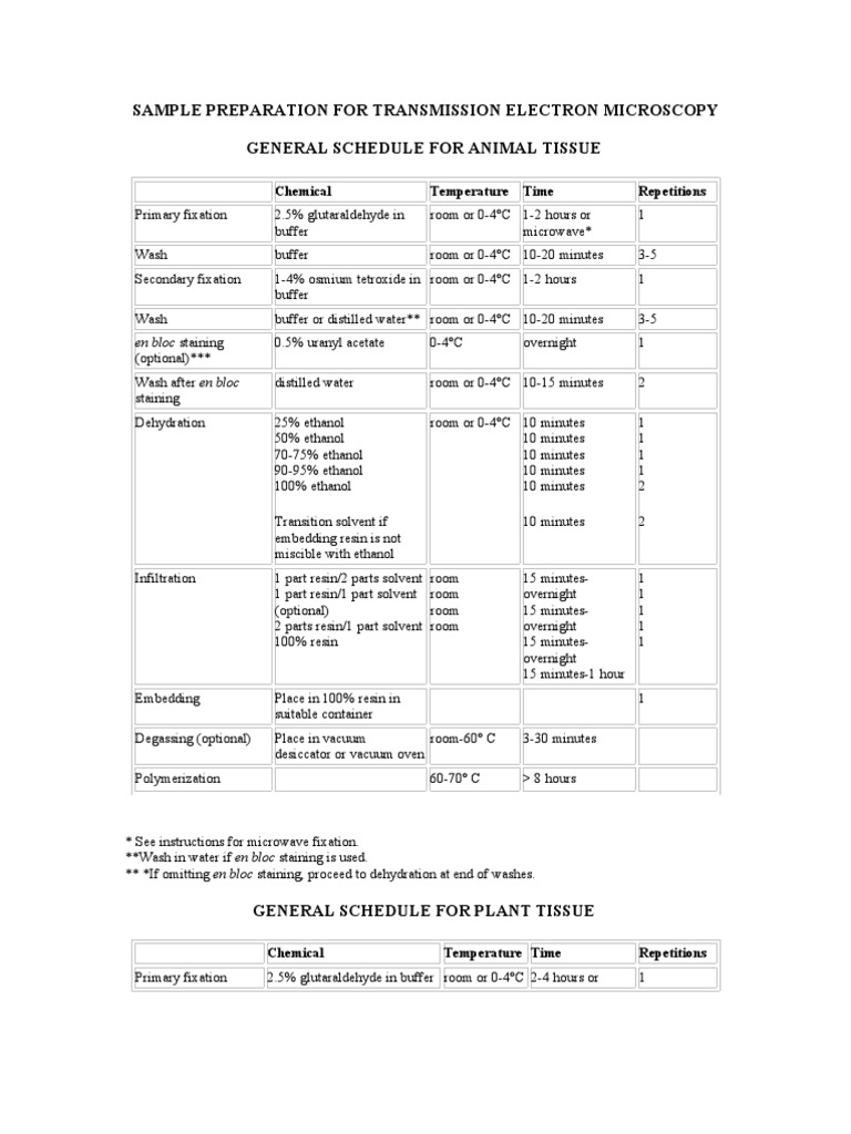 Sample Prep Tem | PDF | Fixation (Histology) | Staining