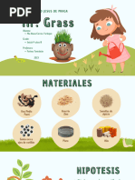 Señor y Señora Cabeza de Pasto Paso A Paso | PDF | Hogar, jardinería y ...