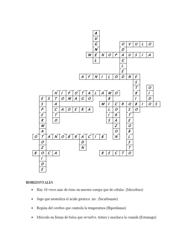 Crucigrama Cuerpo Humano | PDF | Digestión | Estómago