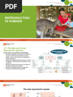 IGCSE 0610 - EYES Sense Organs NOTES (2023-2025) | PDF | Eye | Retina
