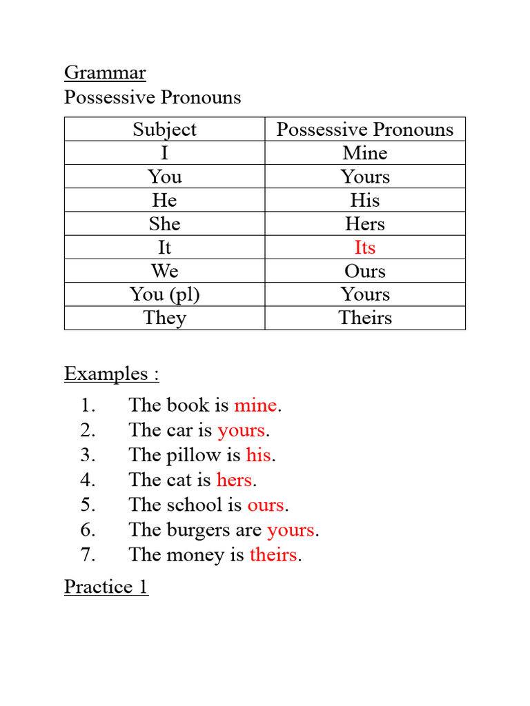 Possessive Pronouns Guide & Practice | PDF
