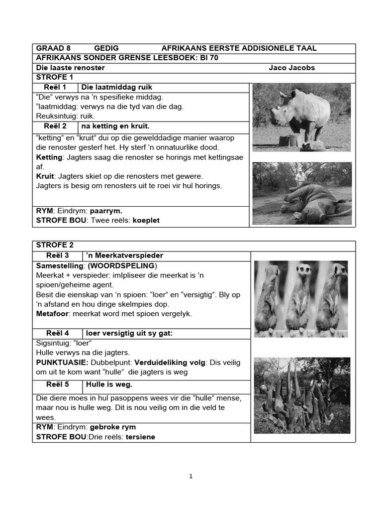 Die Laaste Renoster | PDF