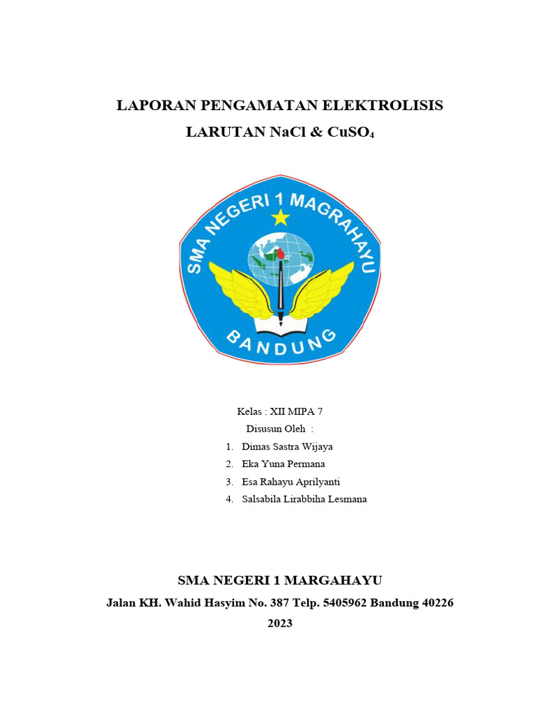 Elektrolisis NaCl & CuSO4: Observasi dan Hasil | PDF