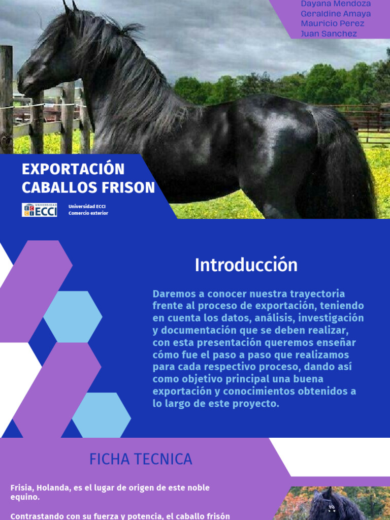 Exportacion Caballos | PDF | Aeropuerto | Economias