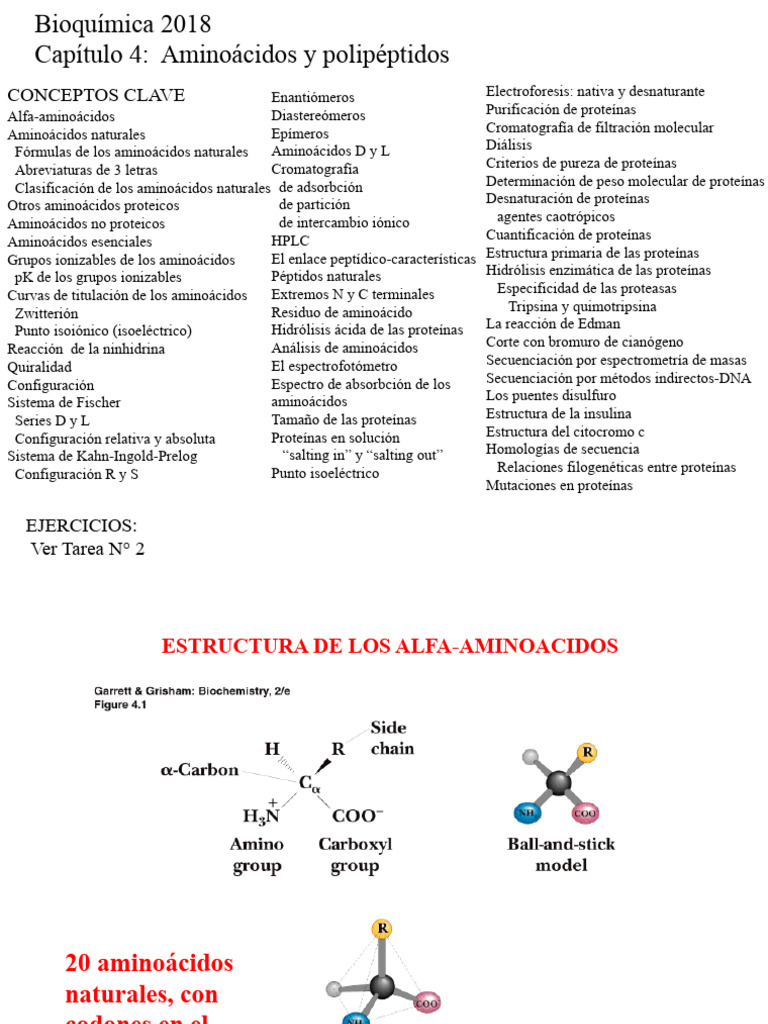 Aminoácidos y Polipéptidos - Bioquimica | Descargar gratis PDF ...