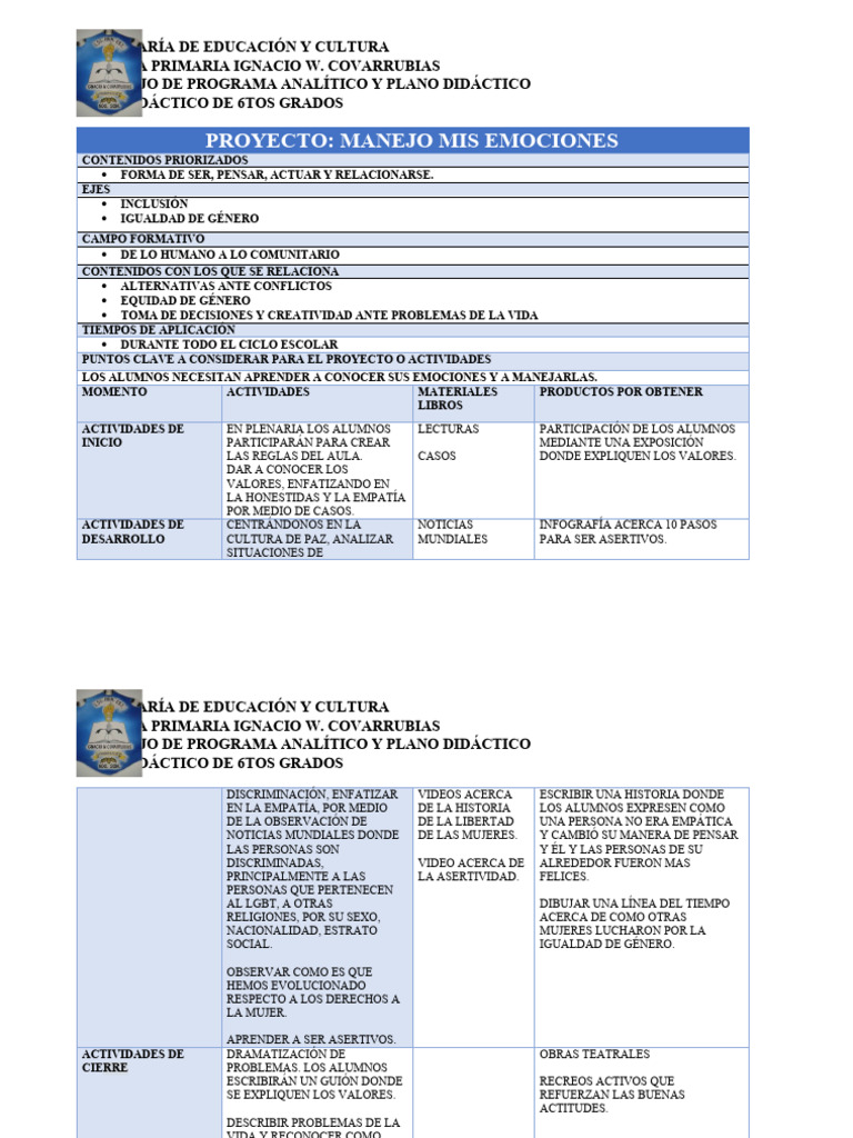 Plano Didáctico - Bosquejo de Programa Analítico y Plano Didáctico 6tos | PDF | Educación ...