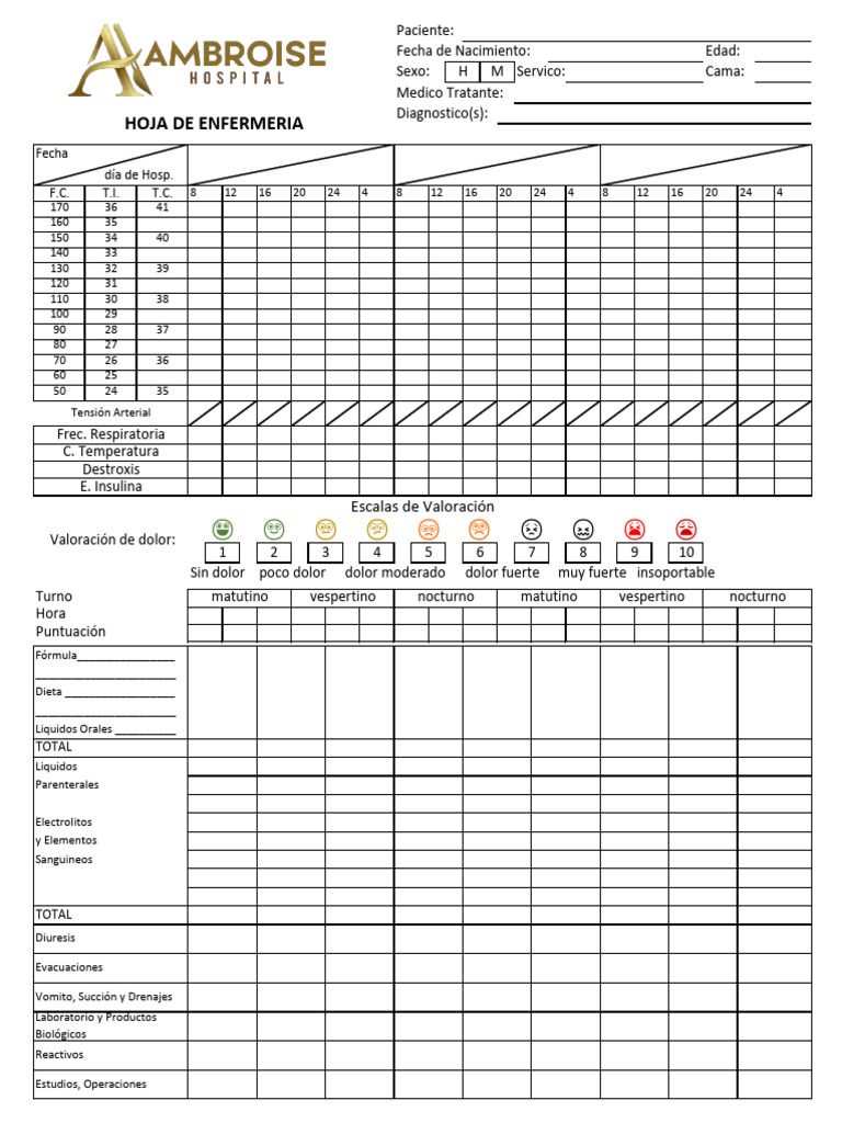 Hoja de Enfermeria | PDF