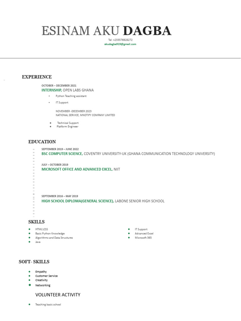Esinam CV | PDF | Computers