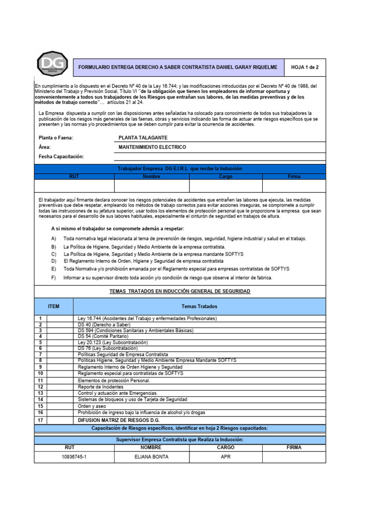 Formato Induccion Das v. 2o23 | Descargar gratis PDF | Business | Higiene