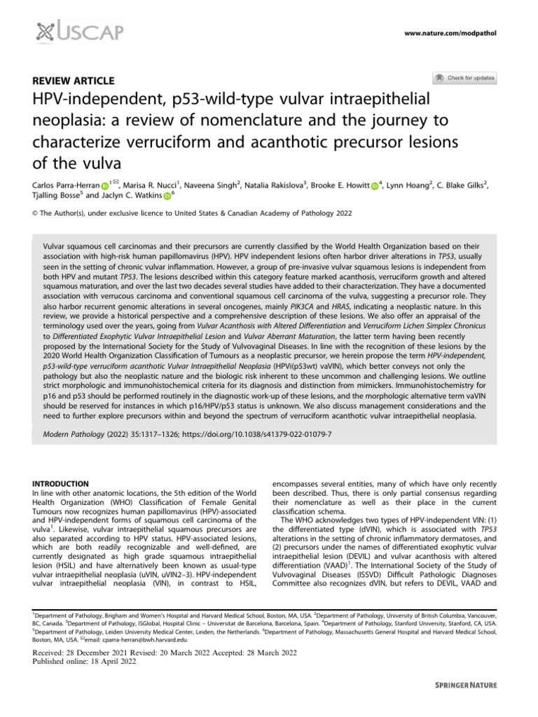 HPV-independent, P53-Wild-Type Vulvar Intraepithelial | PDF ...